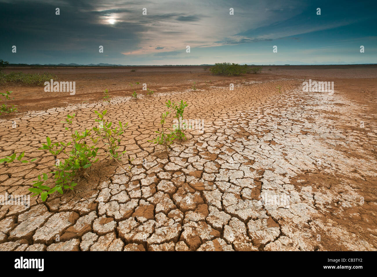 Panama landscape with cracked soil in the desert of Sarigua National ...