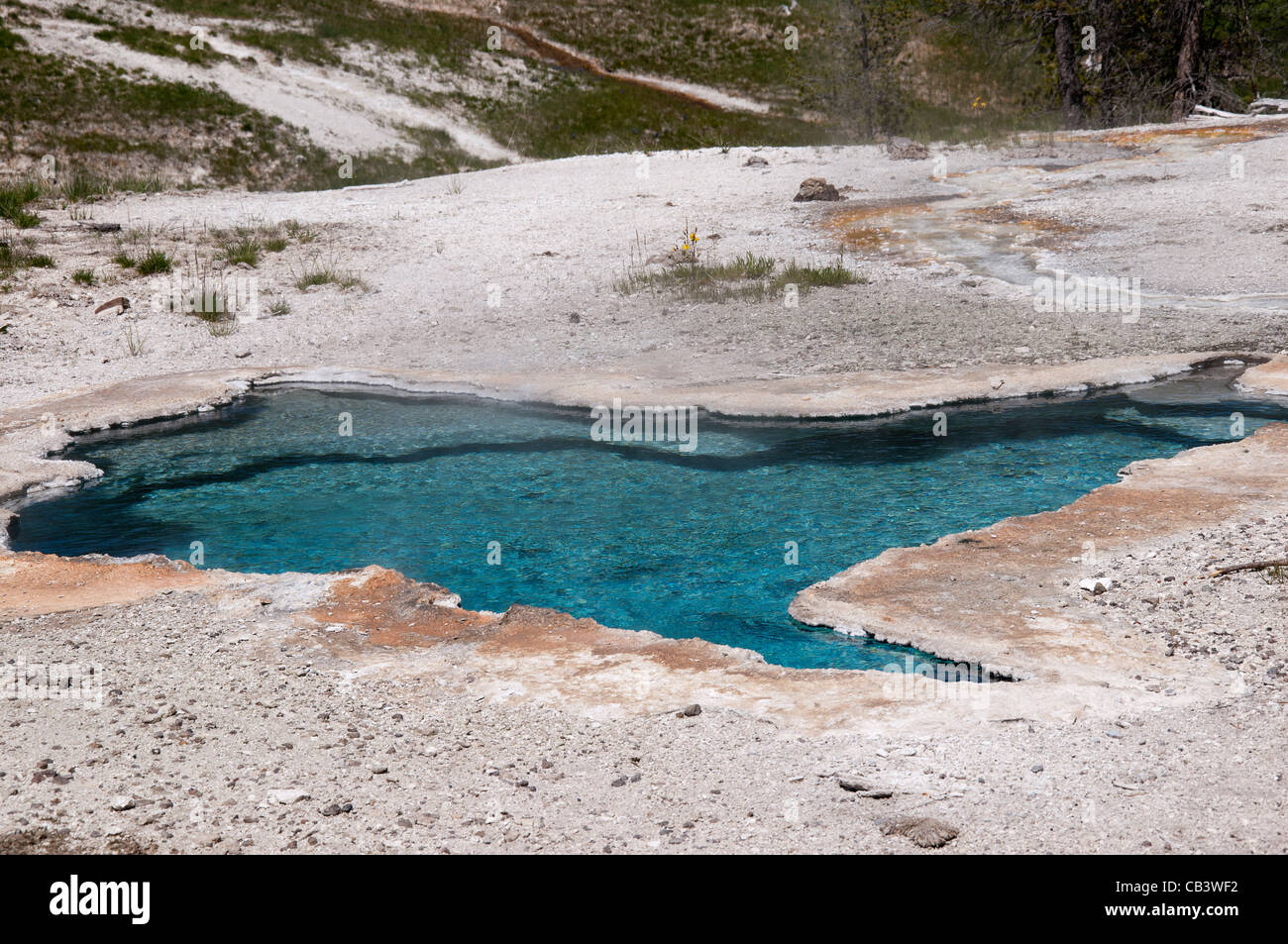 Yellowstone National Park, established by the U.S. Congress is a ...