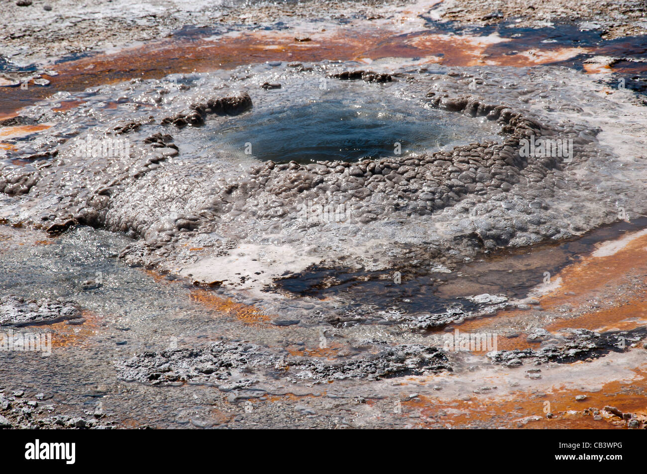 Yellowstone National Park, established by the U.S. Congress is a ...
