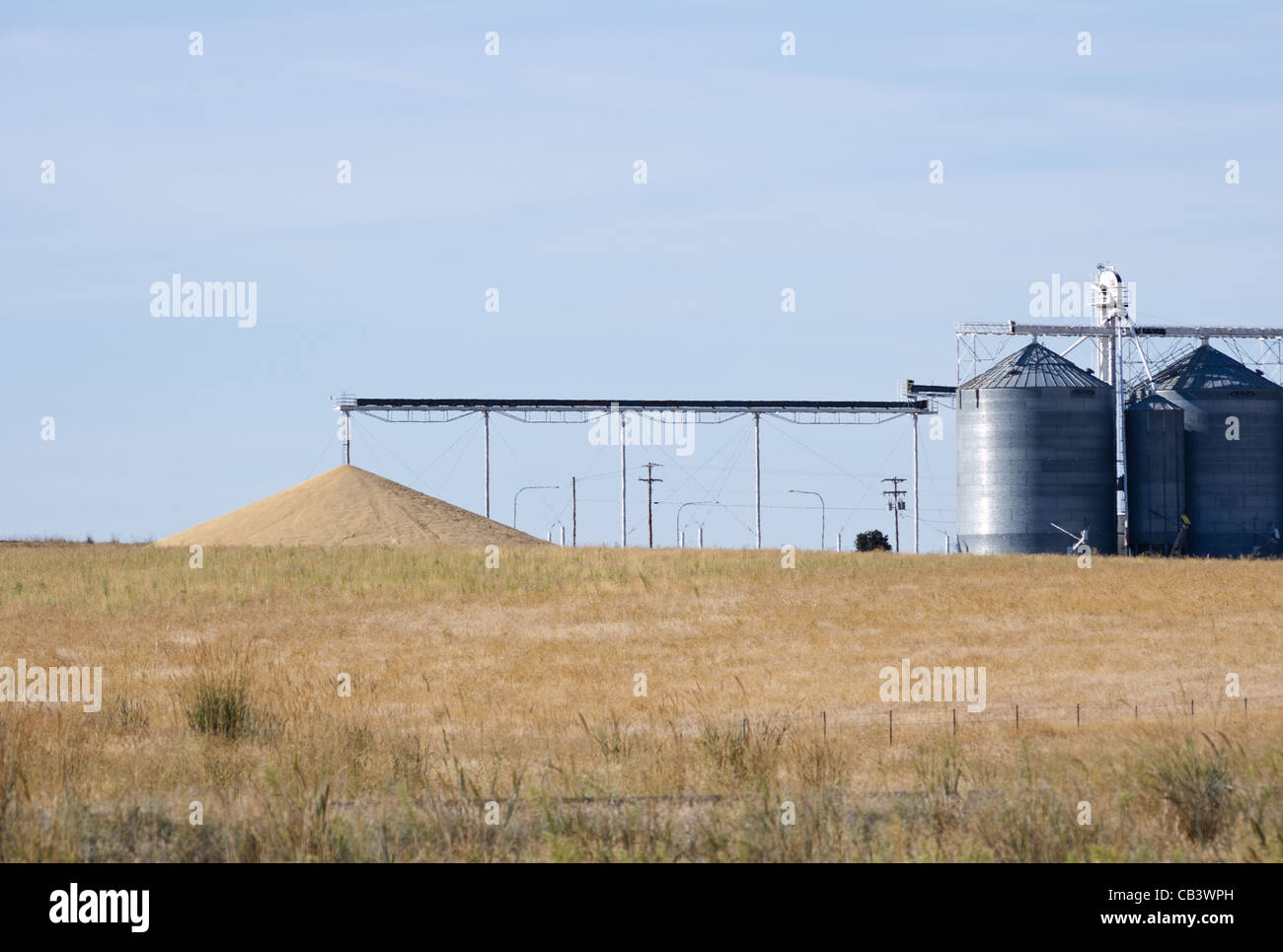 Maize crop crops store storage hi-res stock photography and images - Alamy