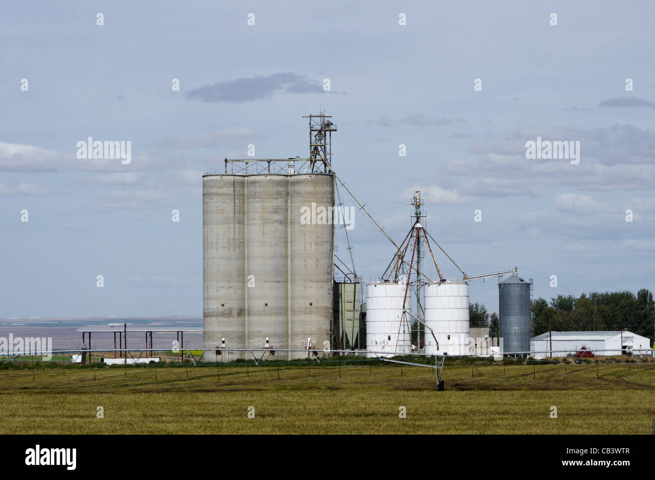 Concrete grain storage silos with elevators Stock Photo - Alamy