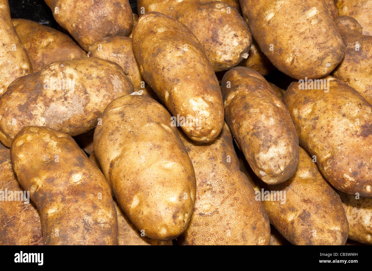 Russett potatoes hi-res stock photography and images - Alamy