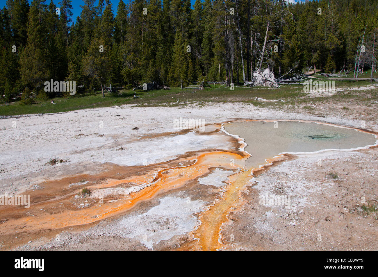 Yellowstone National Park, established by the U.S. Congress is a ...