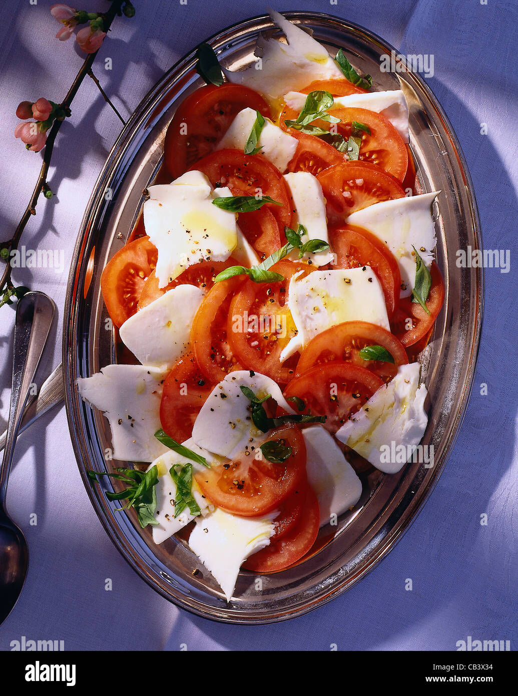 Mozzarella cheese with basil (Mozzarella con basilico Stock Photo - Alamy