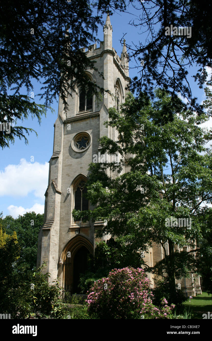St. Catherine's Church fir trees in the foreground. Sindlesham ...