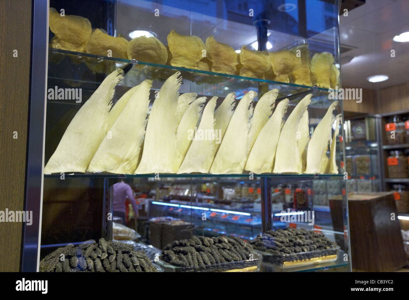 Shark fin hi-res stock photography and images - Alamy