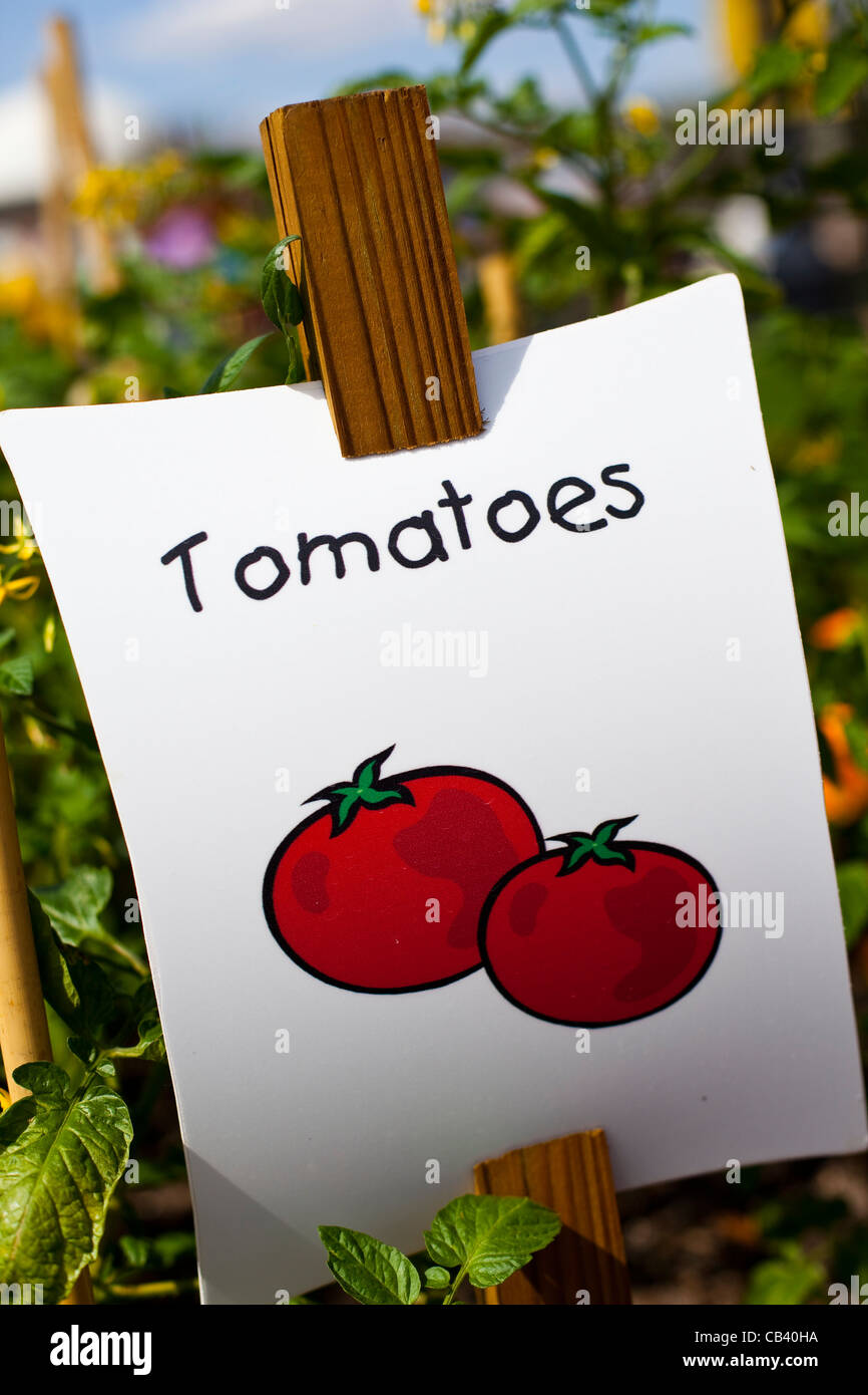 Tomato sign in vegetable garden, close up Stock Photo - Alamy