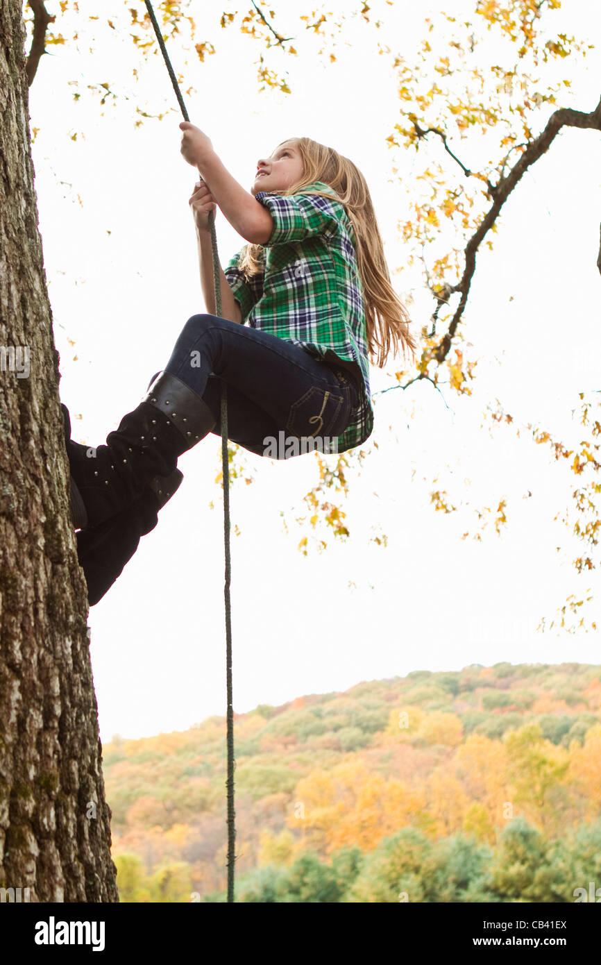 Climb childhood tree vertical hi-res stock photography and images - Alamy