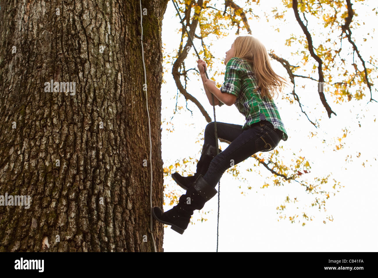 Girl climbing up tree Stock Photo - Alamy