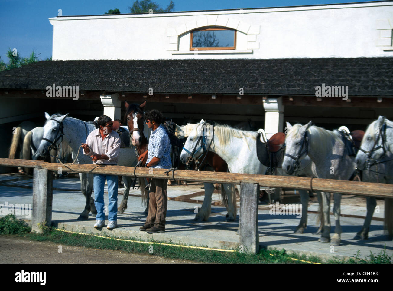 Camargue Provence France Horse Stables Stock Photo - Alamy
