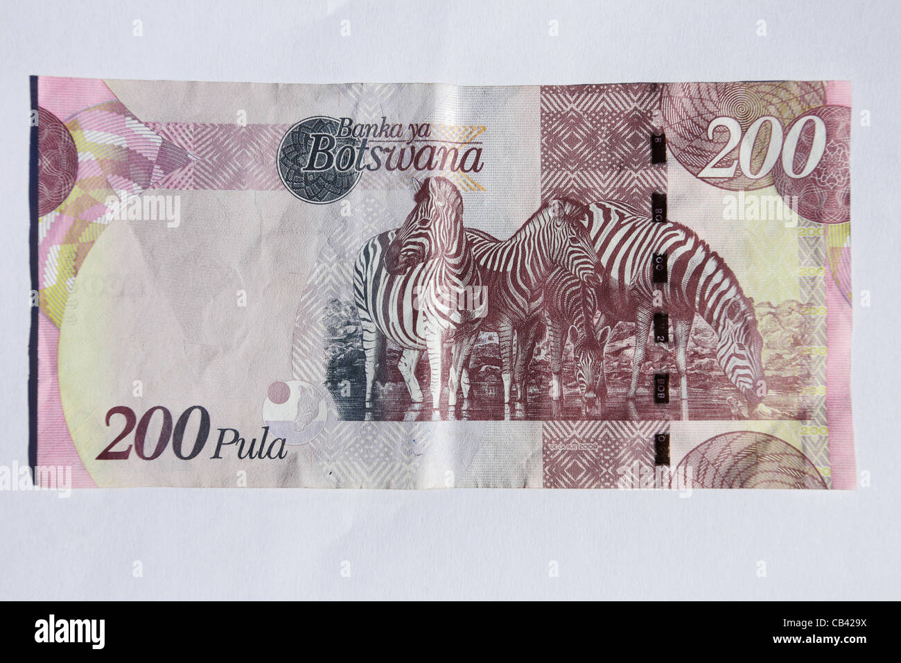 Pula Botswana Currency High Resolution Stock Photography and Images - Alamy