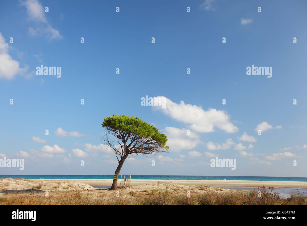 Sardinia, Cagliari, Italy, coastline, shore, beach, sea, near Siniscola ...