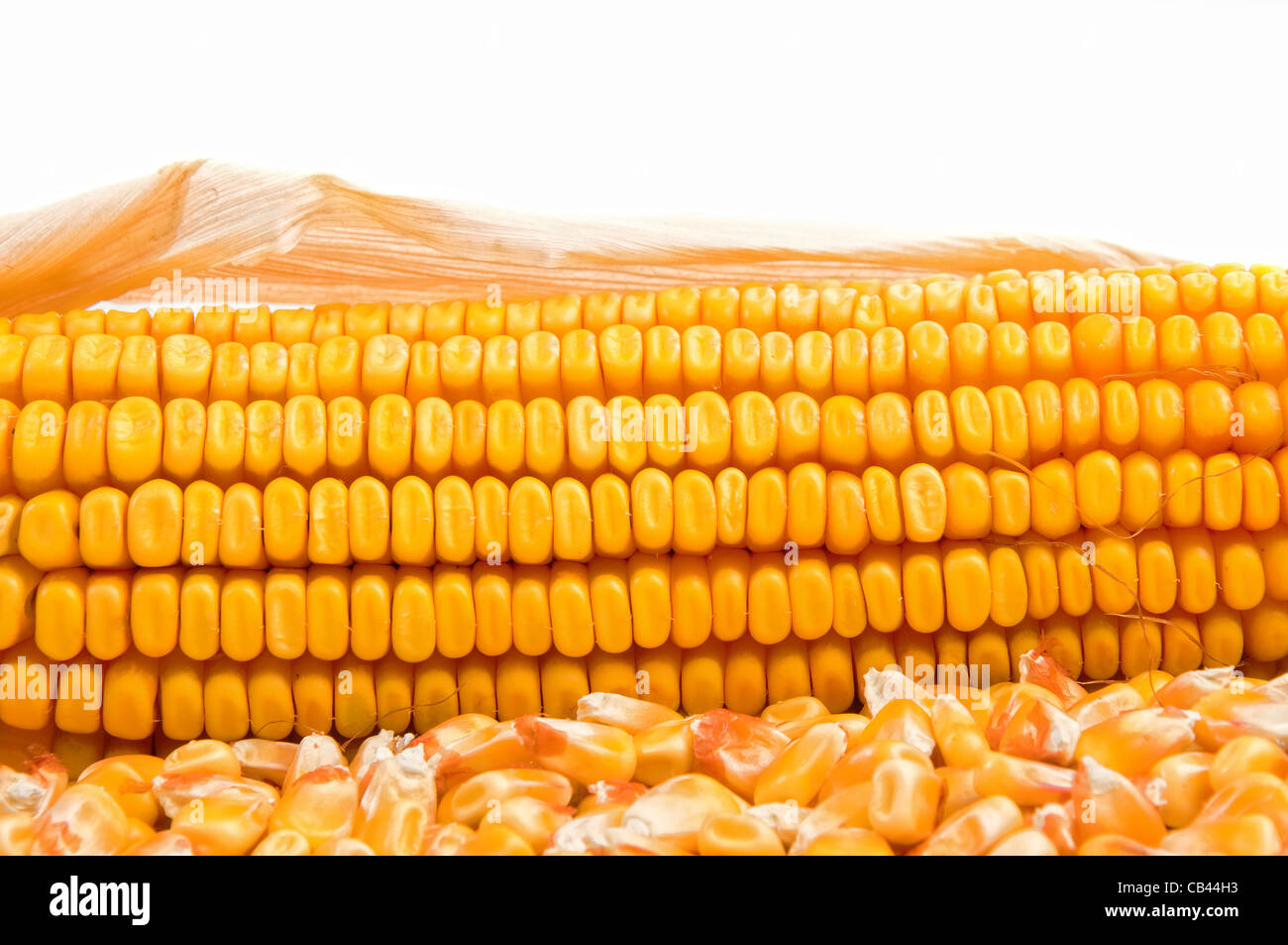 Beautiful yellow ear of corn over a white background Stock Photo - Alamy