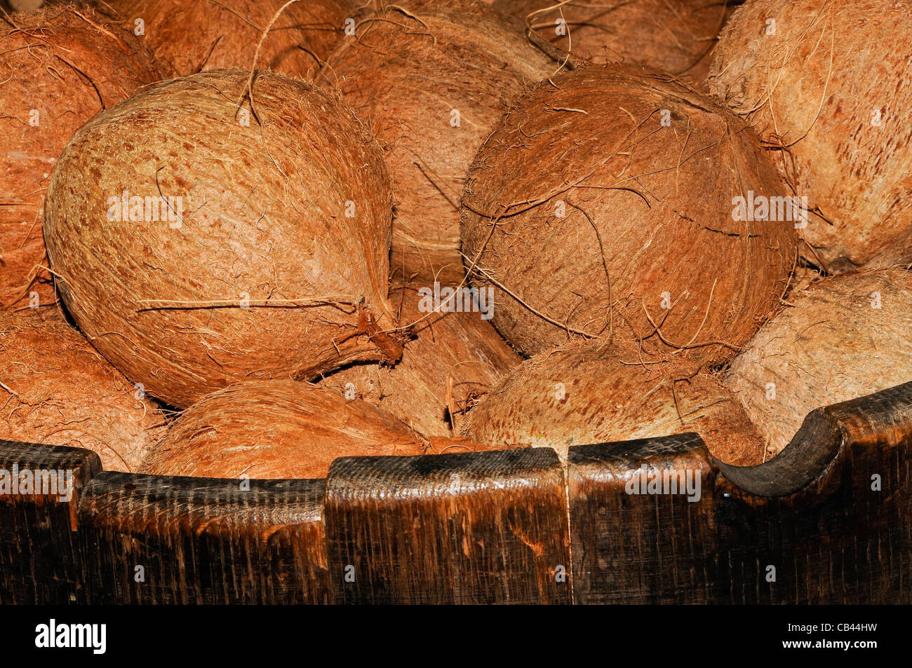 Barrel of Fresh Coconut Stock Photo - Alamy