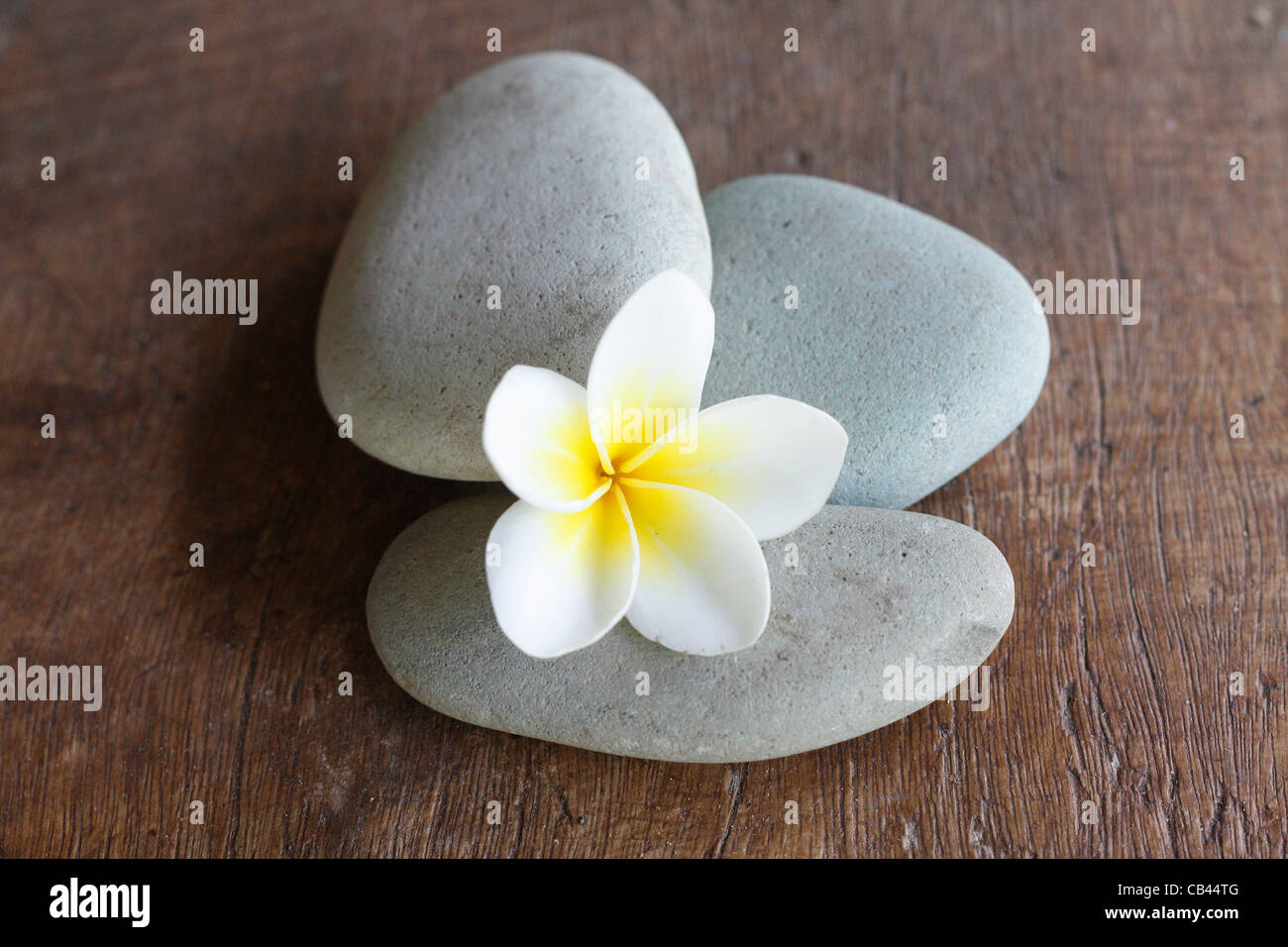 Bali frangipani hi-res stock photography and images - Alamy