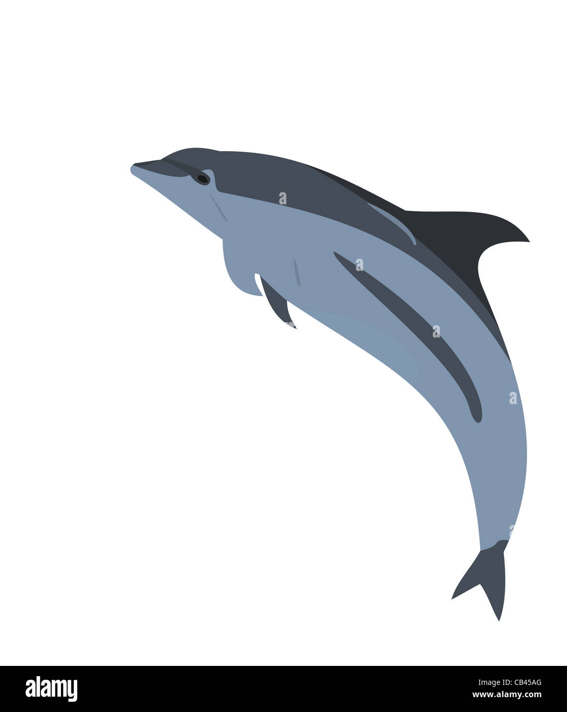 Illustration of a jumping dolphin - vector Stock Photo - Alamy