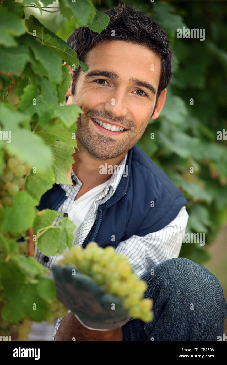 portrait of a man with grapes Stock Photo - Alamy