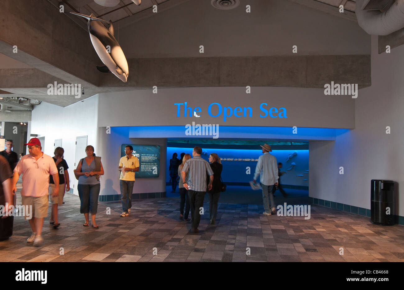 The magnificent Open Sea Exhibit at the Monterey Bay Aquarium Stock ...