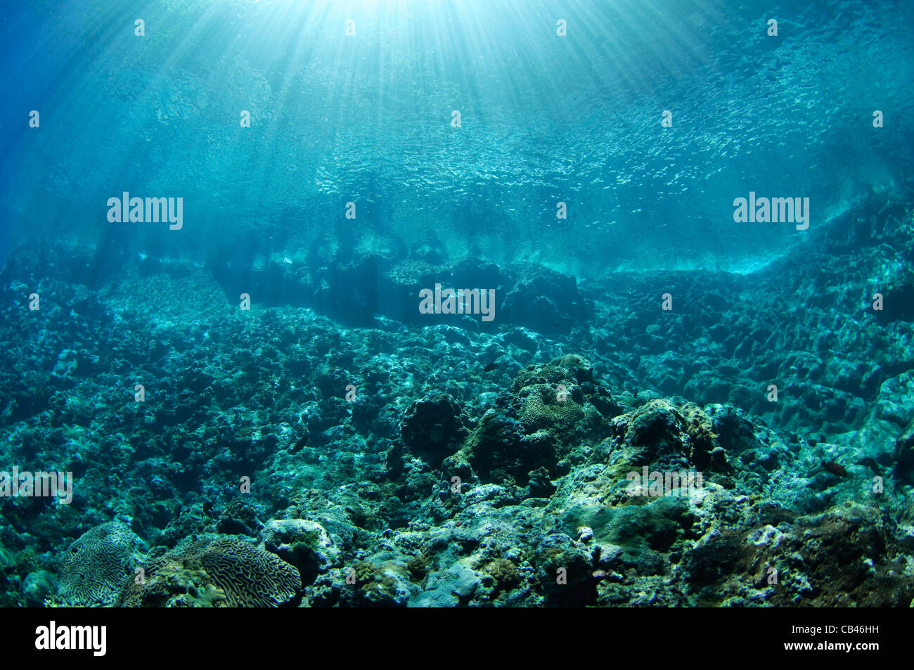 Sunrays or Gods rays slicing through crystal clear water, Gunung Api ...