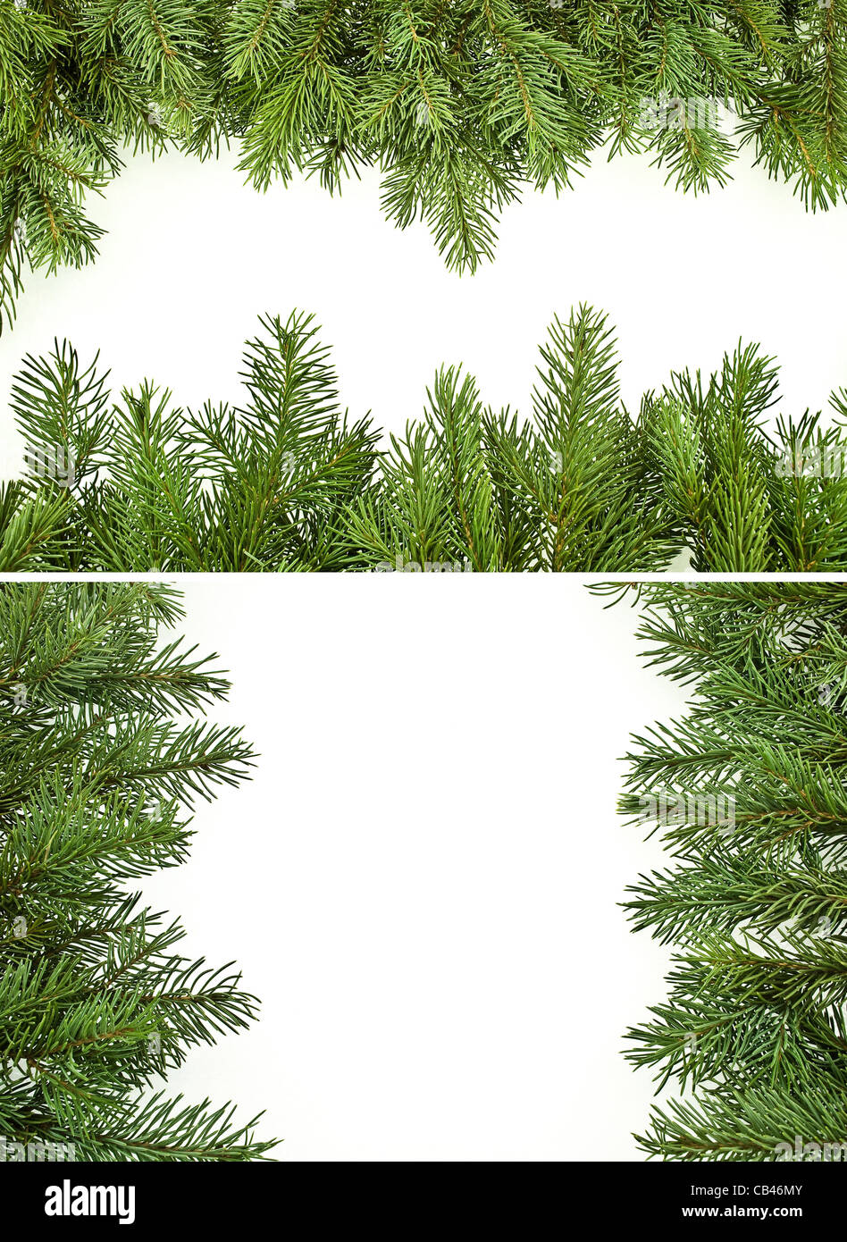 Pine branch borders Stock Photo - Alamy