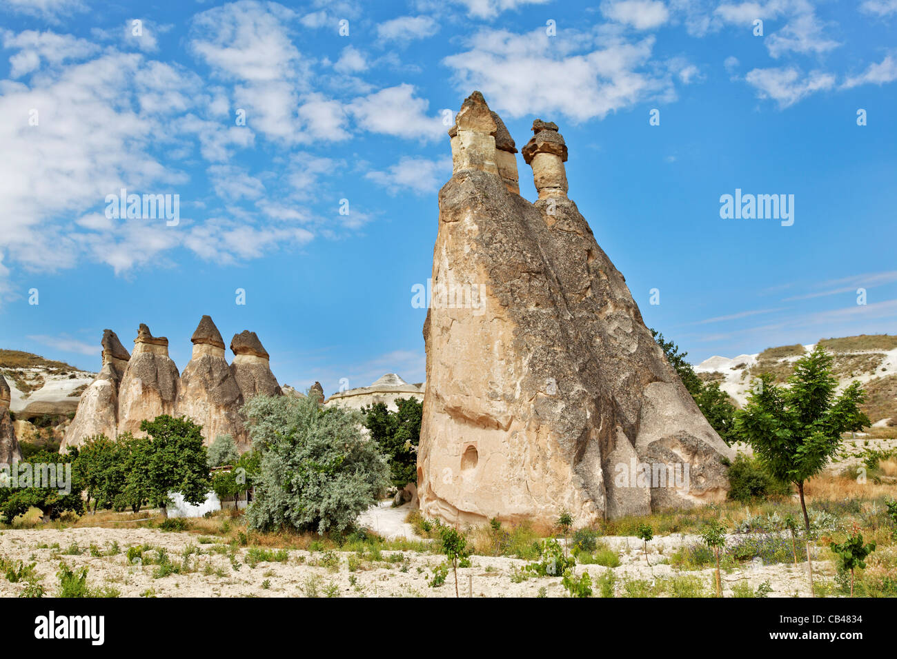 Groups cultivation hi-res stock photography and images - Alamy
