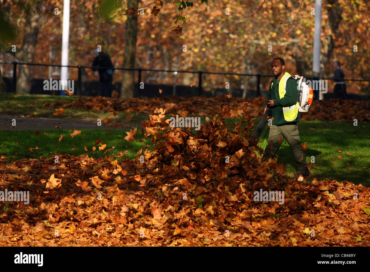 A gardener in St James's Park, London clearing leaves with a backpack ...