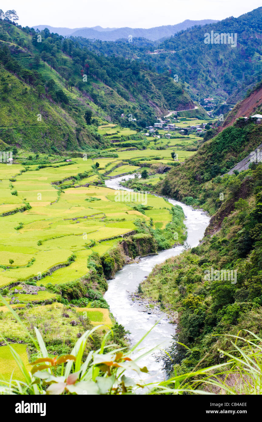 river running through a valley, in mountain province of philippines ...