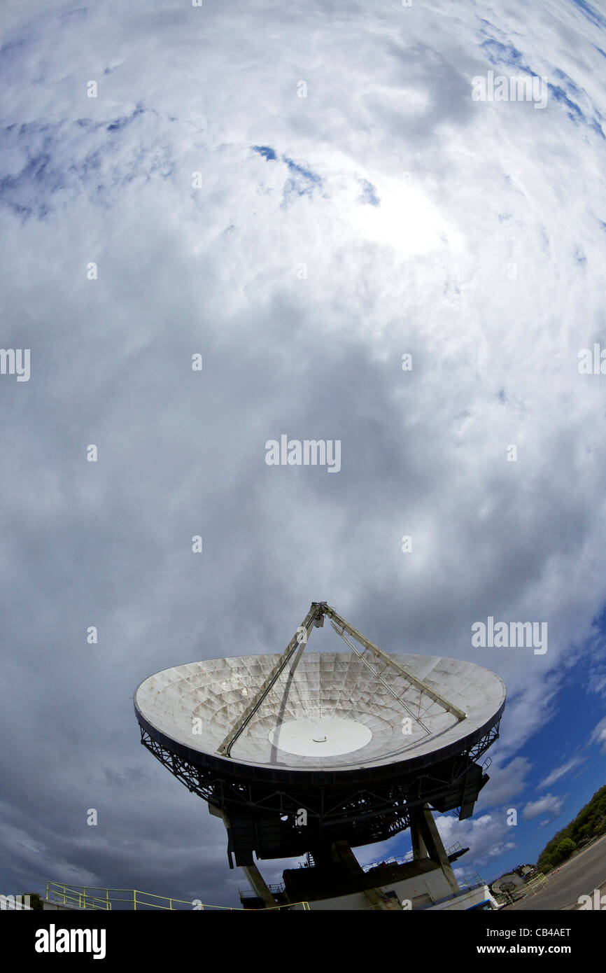 Goonhilly lizard hi-res stock photography and images - Alamy