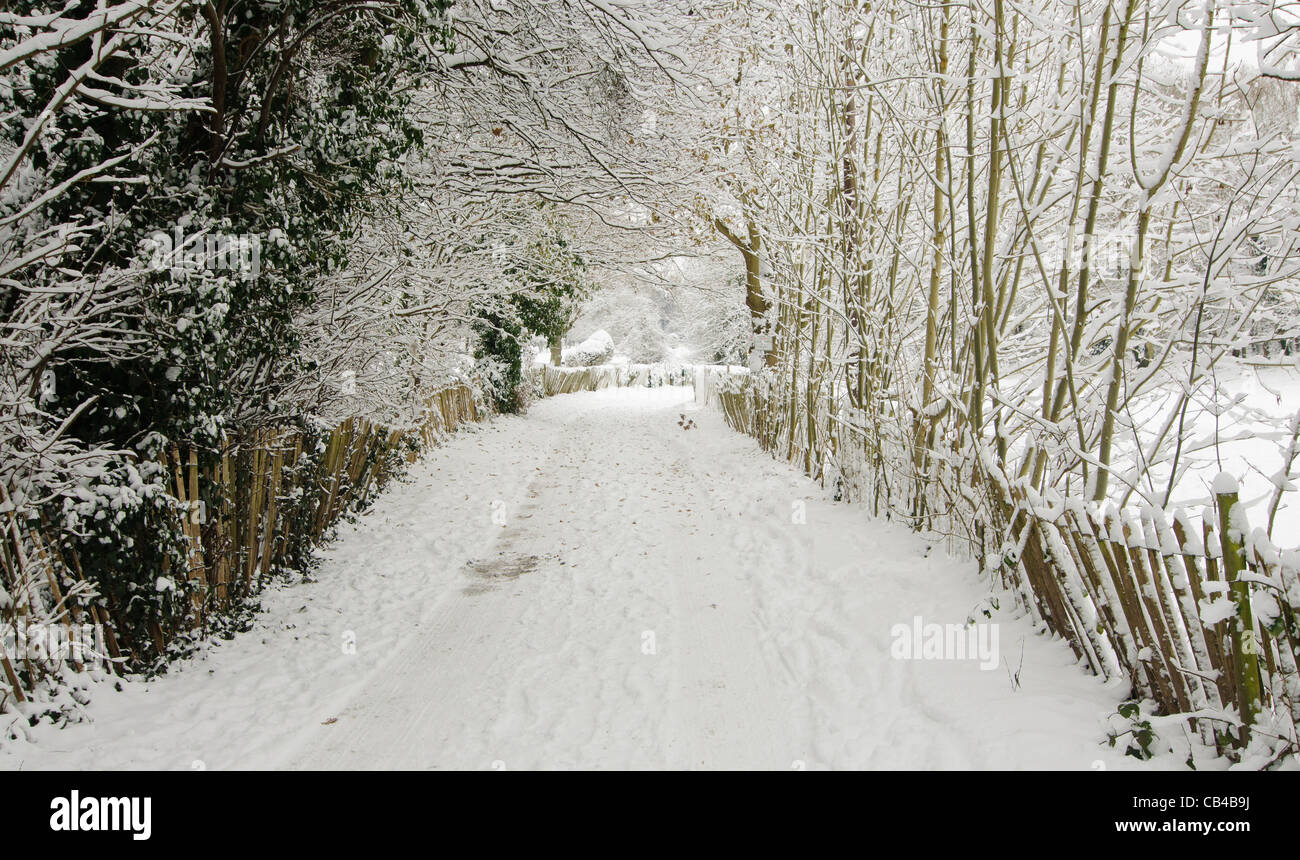A snow covered path Stock Photo - Alamy
