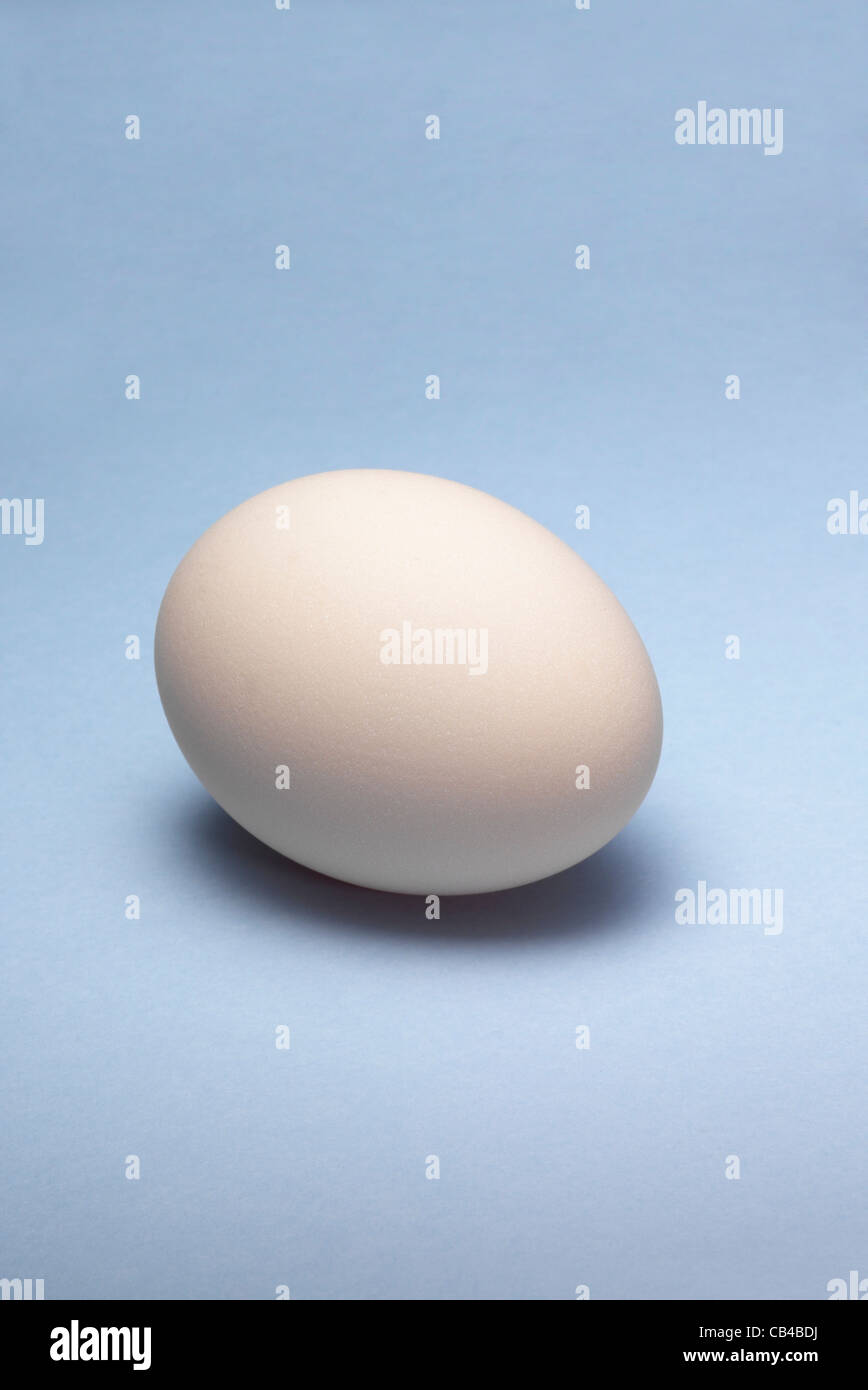 hen egg on pale blue background Stock Photo - Alamy