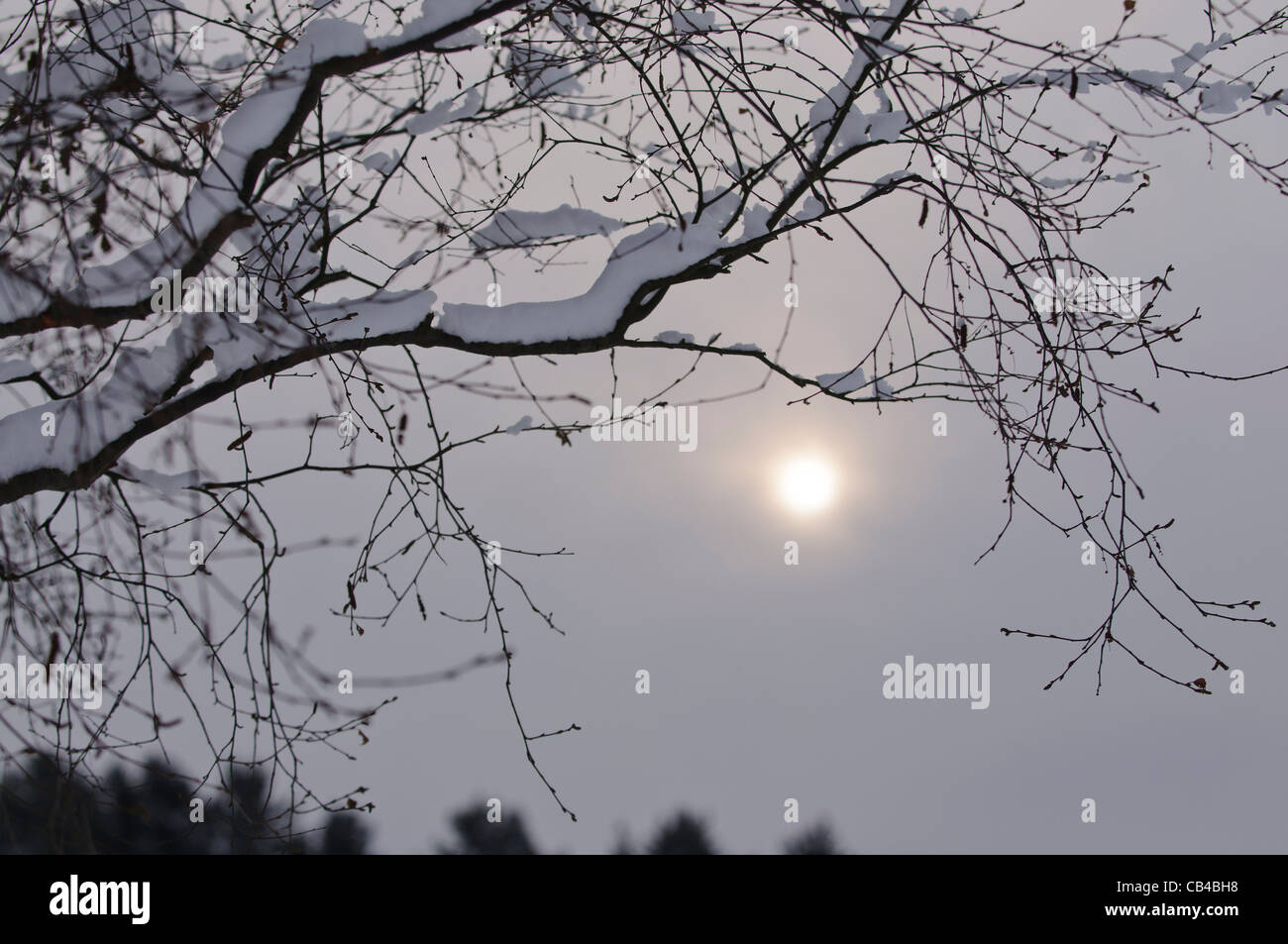 The winter's sun peaks through a grey sky Stock Photo - Alamy