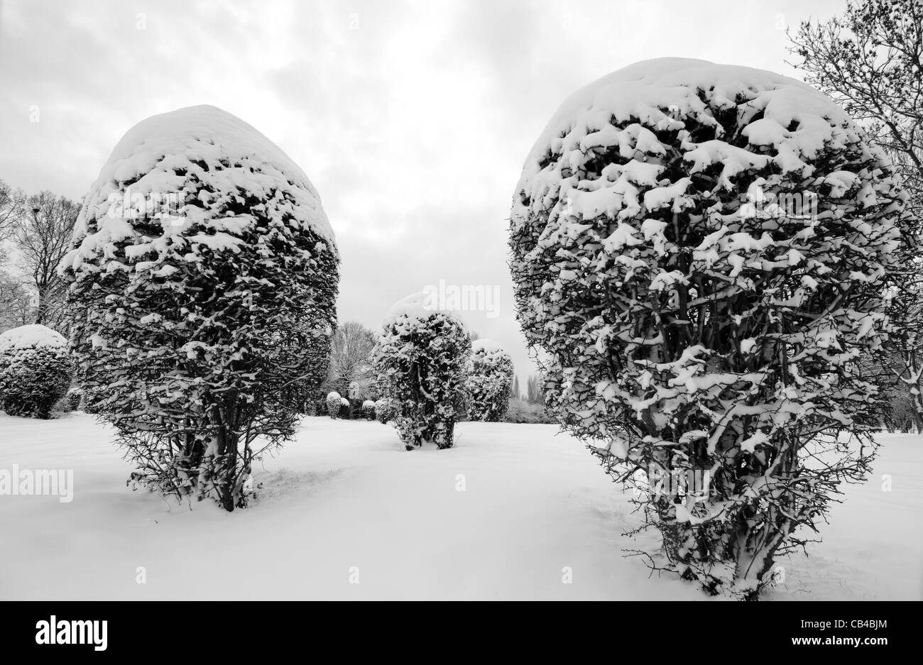 Heavy snow covers a shrubs on a golf course Stock Photo - Alamy