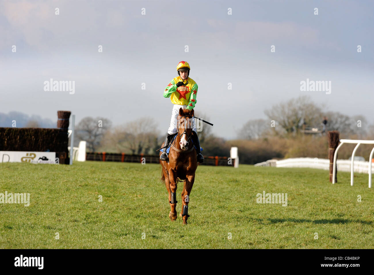 The jump jockey Ruby Walsh returning after pulling up on Hivikos at ...