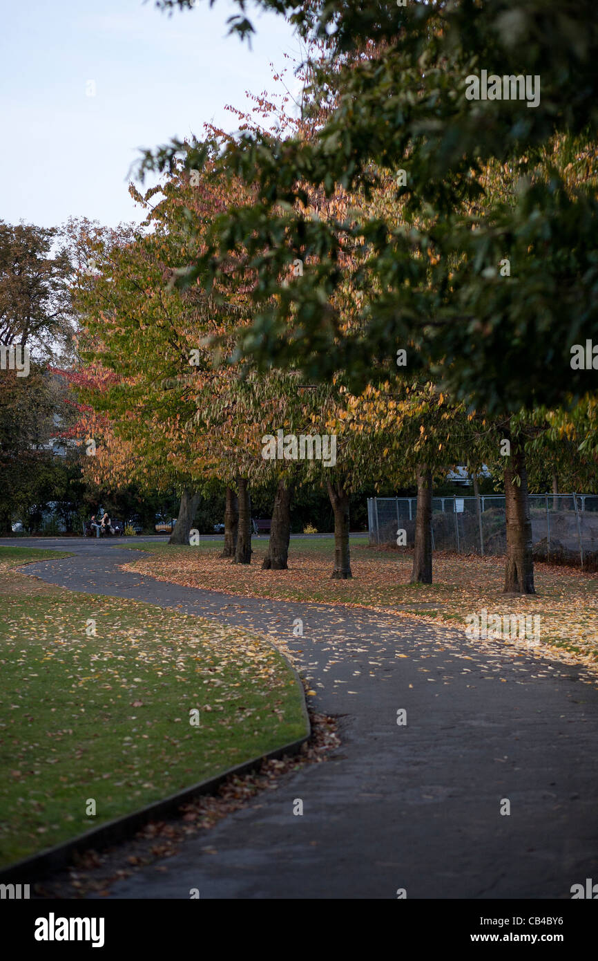 Middle park victoria hi-res stock photography and images - Alamy