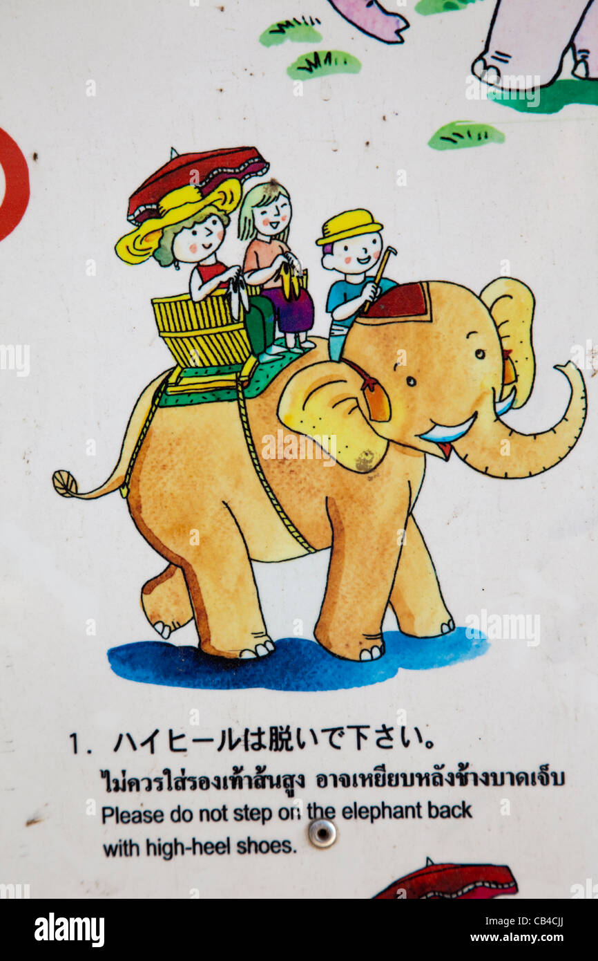 Elephant riding instructions hi-res stock photography and images - Alamy