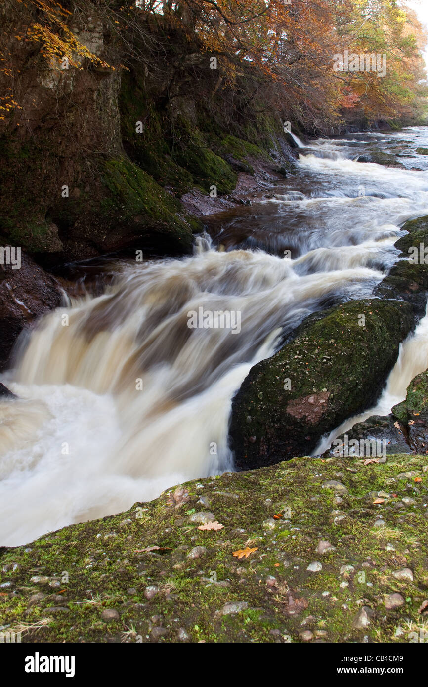 Edzell river esk hi-res stock photography and images - Alamy