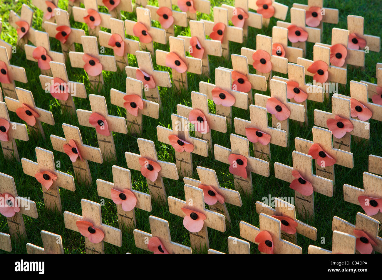 In Remembrance. Poppy day crosses Stock Photo - Alamy