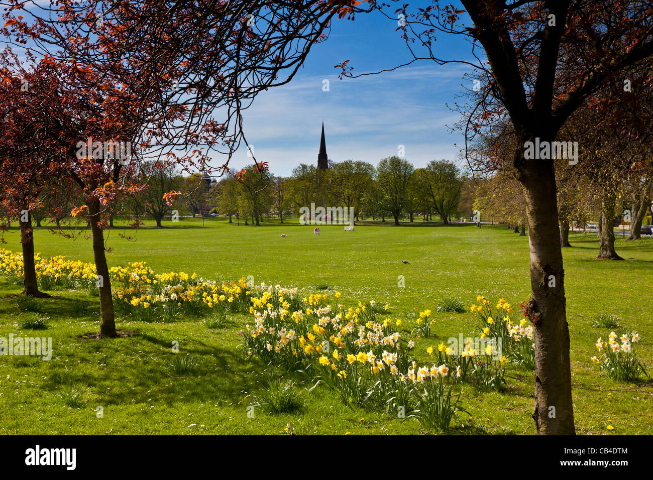 The Stray in Spring, Harrogate, North Yorkshire Stock Photo - Alamy