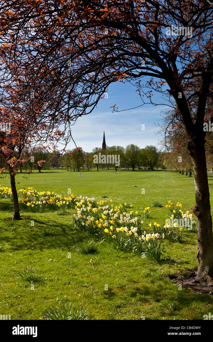 The stray harrogate spring hi-res stock photography and images - Alamy