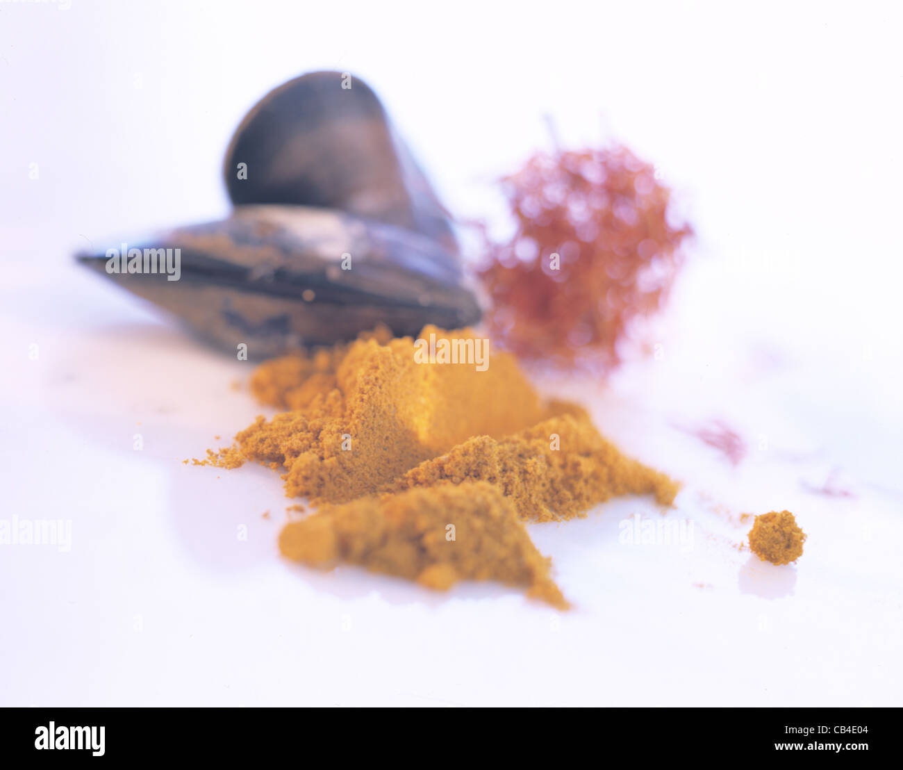 Bouchot mussels hi-res stock photography and images - Alamy