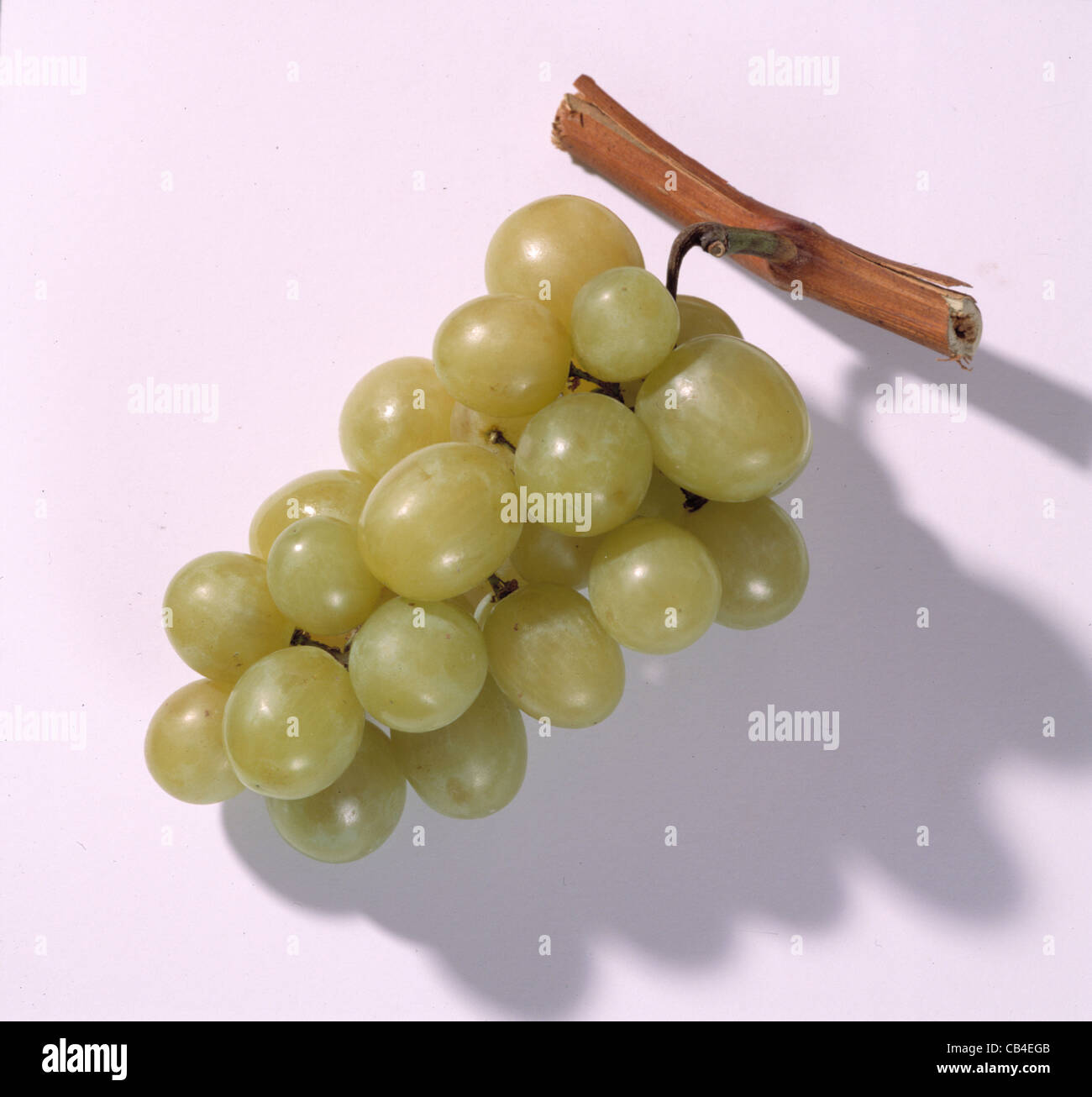 Cut out: green grapes Stock Photo - Alamy
