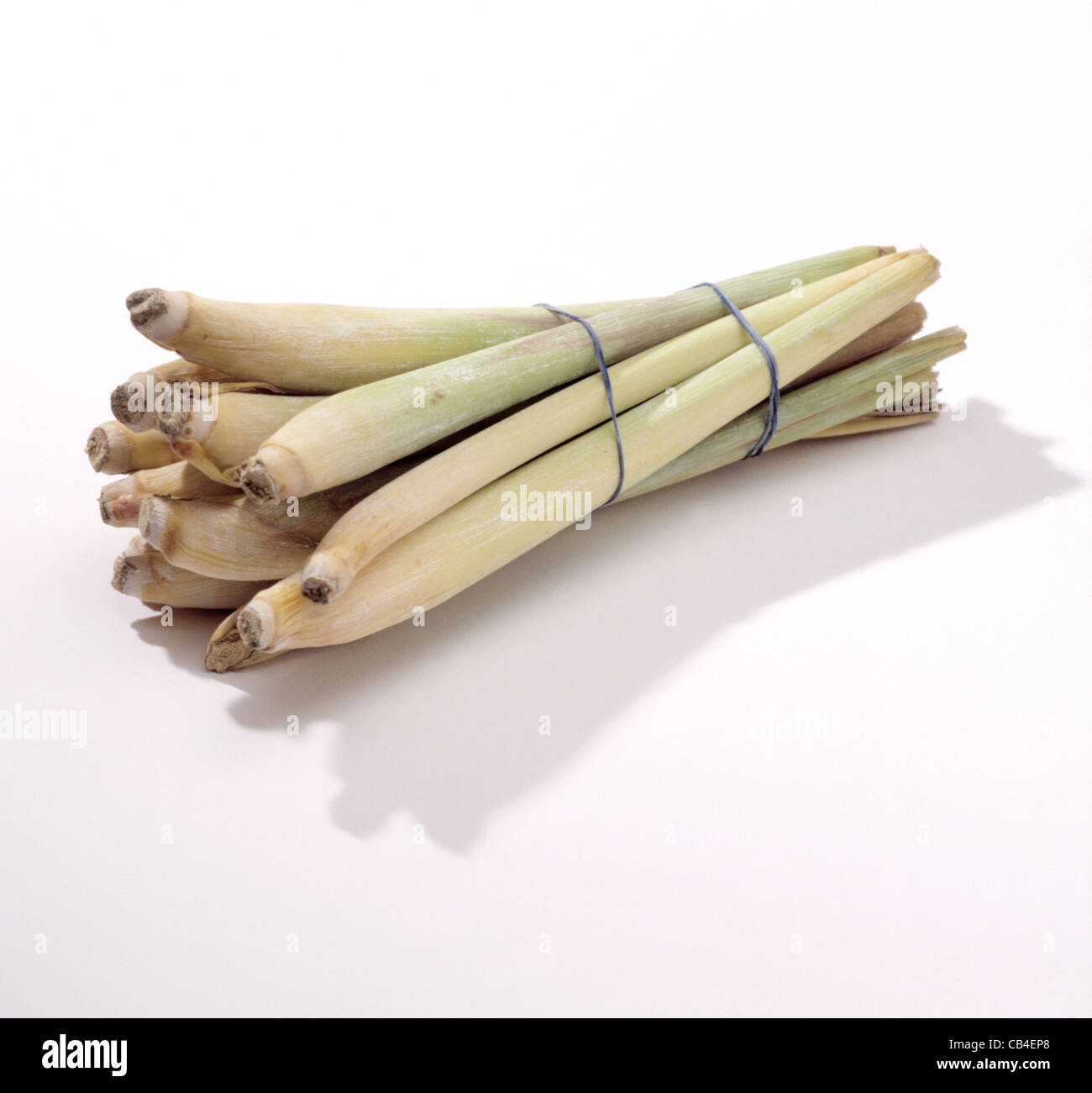 Cut out: Lemongras Stock Photo - Alamy