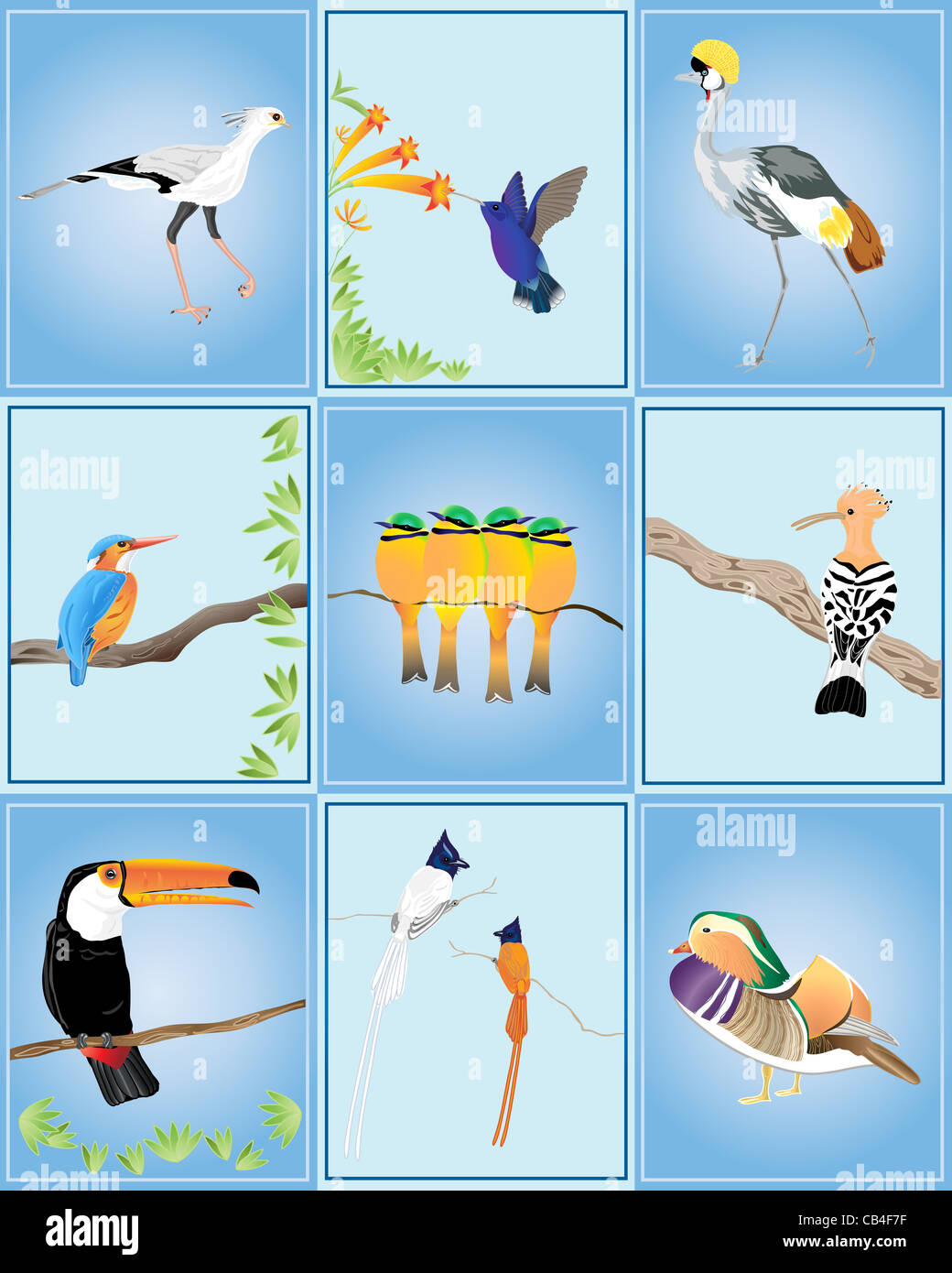 an illustration of different types of birds from around the world on a ...