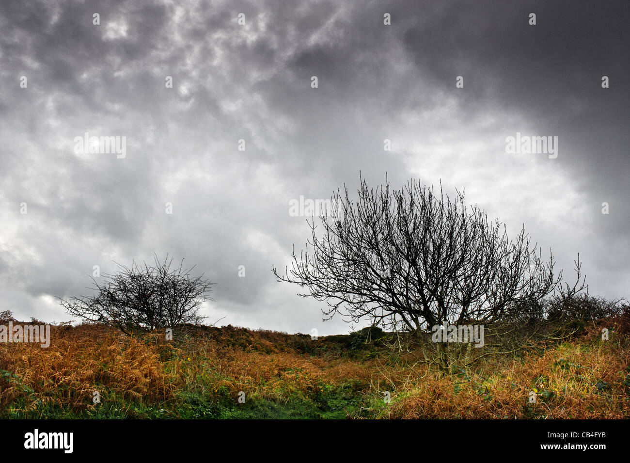 Cornish autumnal landscape Stock Photo - Alamy