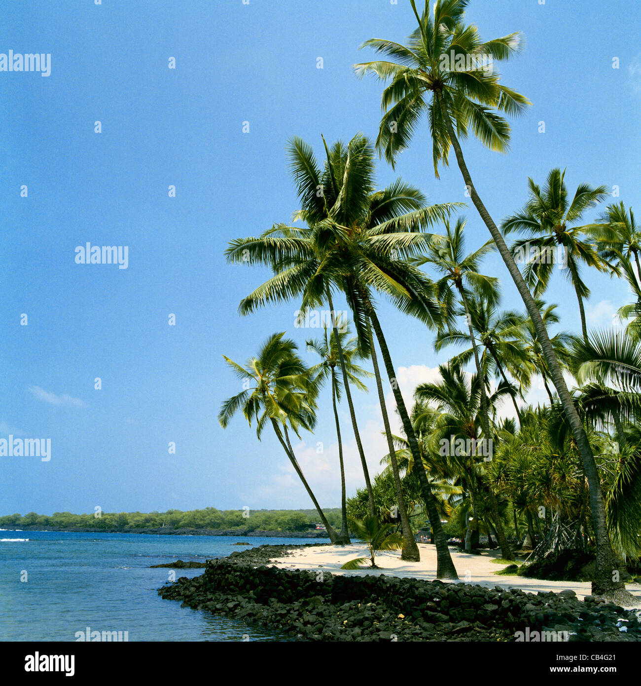 Kona coast hawaii hi-res stock photography and images - Alamy