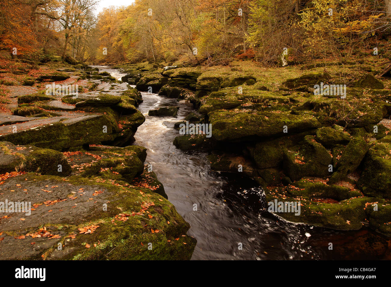 Bolton strid hi-res stock photography and images - Alamy