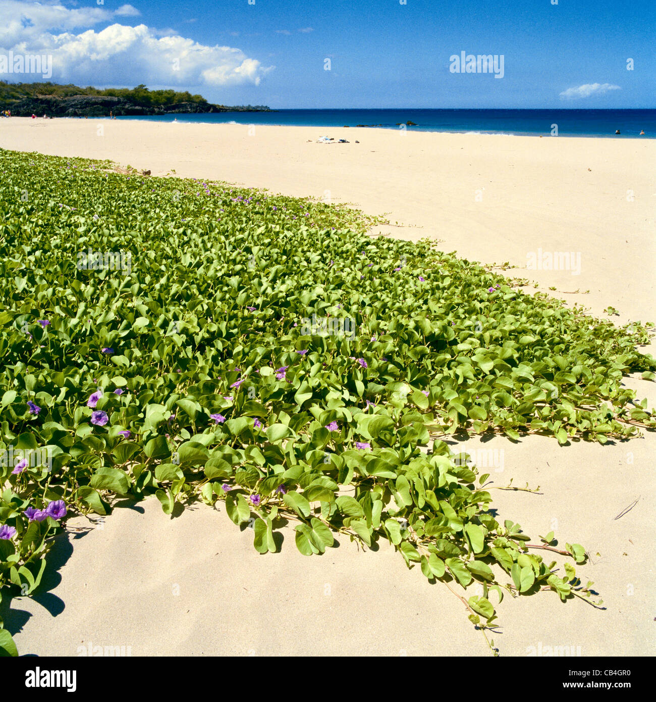 Hapuna beach kohala coast hawaii hi-res stock photography and images ...