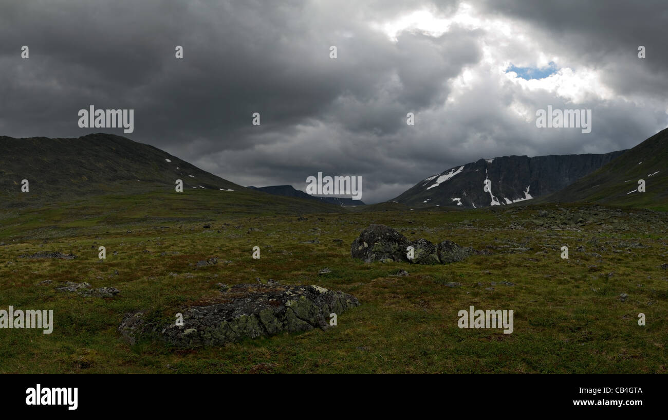 Russia wild hi-res stock photography and images - Alamy