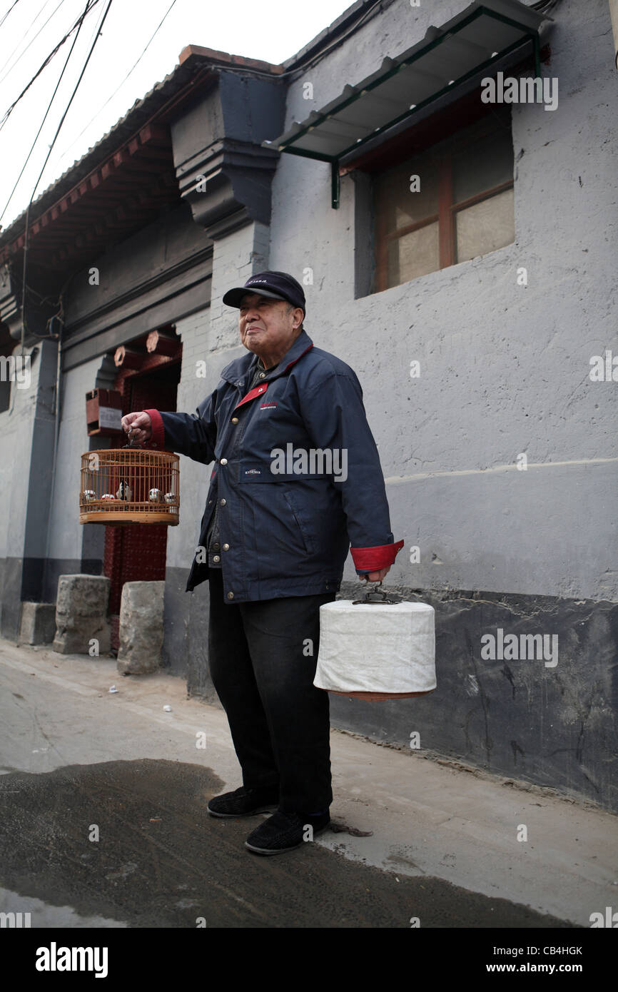 Old man in traditional Chinese worker dress carries birds in cages in ...