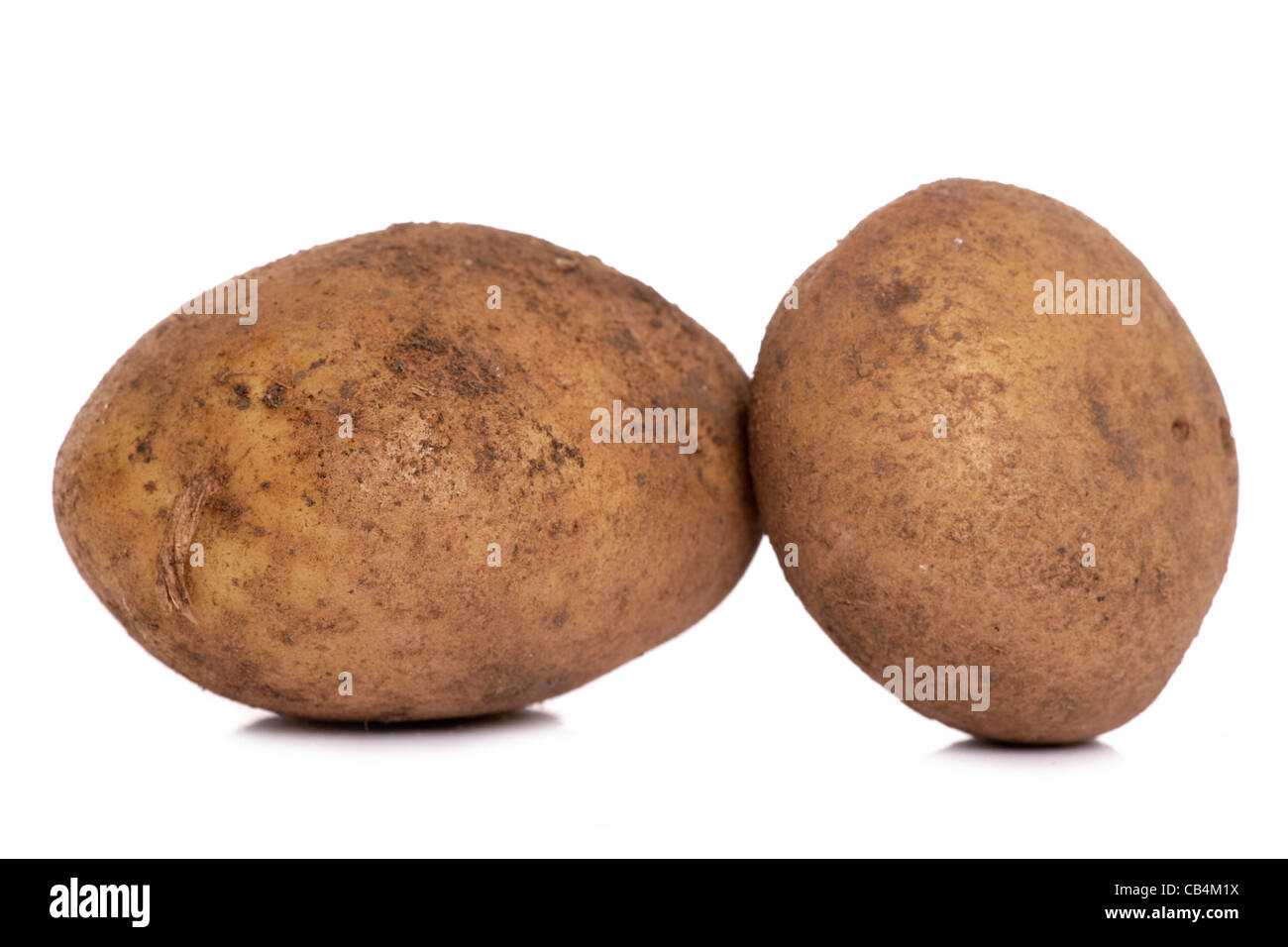 Home grown potato studio cutout Stock Photo - Alamy